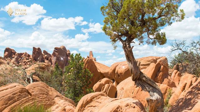 О личности Пророка Мухьаммада ﷺ