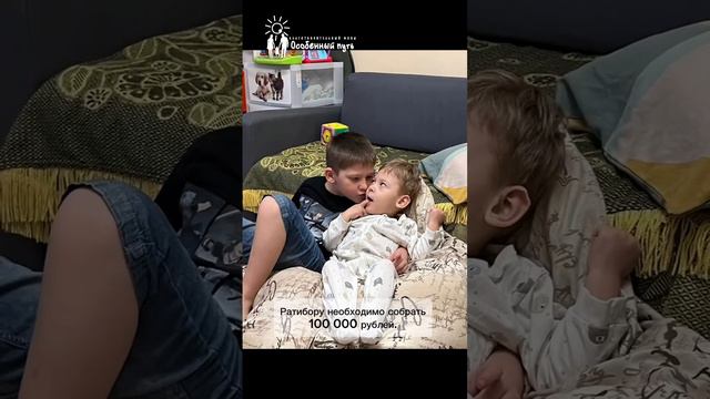 Сбор средств Ратибору на полугодовой логопедический курс занятий. БФ "Особенный путь".