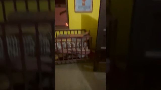 Гуляем в священном буддийском храме на Шри-Ланке, недалеко от г. Тиссамахарама