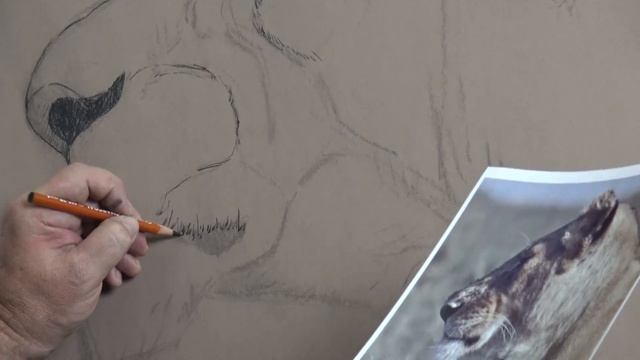 3 charcoal lesson refined drawing