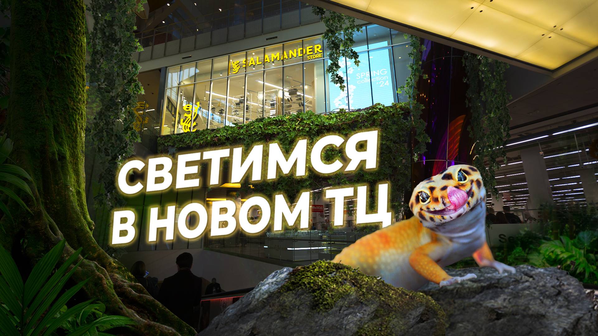 Продолжаем креативить в  «Salamander» новыми видеоэкранами ｜HD LED TECH