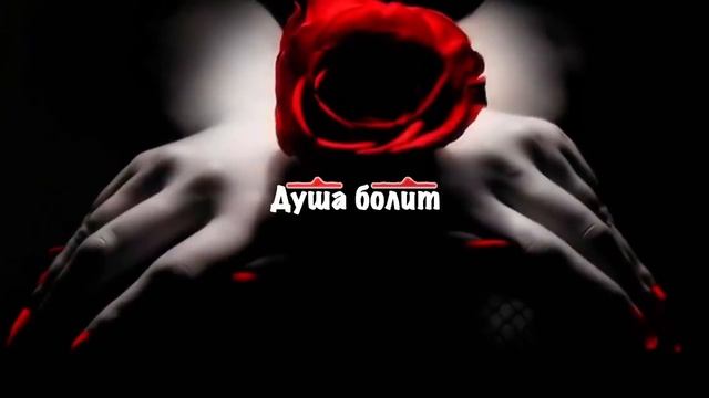 в моём сердце только ты❤️ только ты душа моя? песня для души 2021