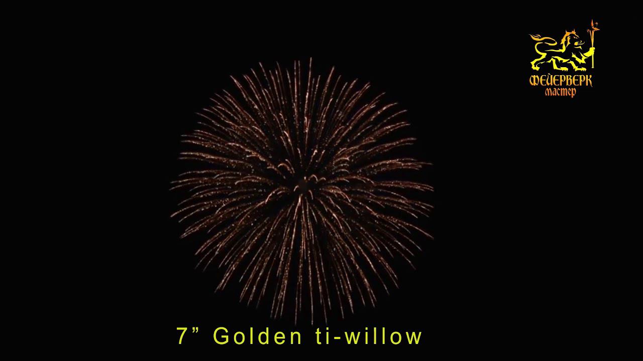 7" Golden ti-willow
