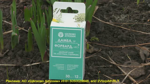 Борьба с сорняками на участке