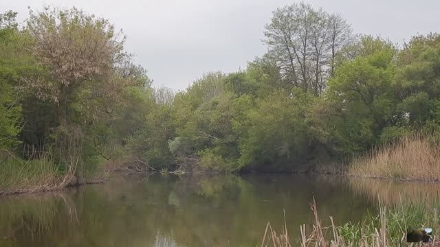 Рыбалка на р.Оскол. 9.05.2022г.