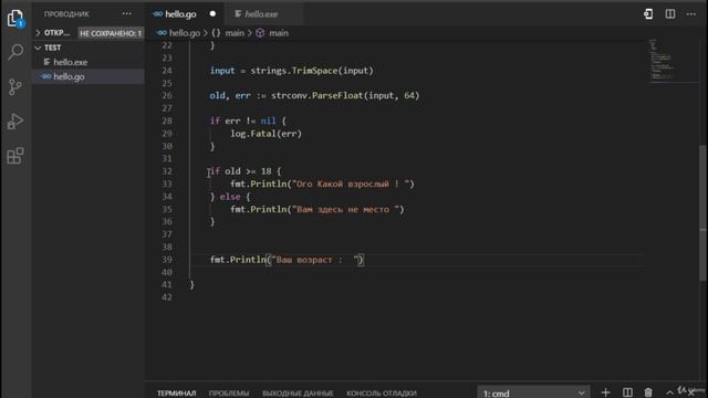 008 Область видимости