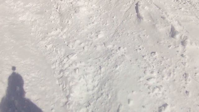 Раскатываем Цей