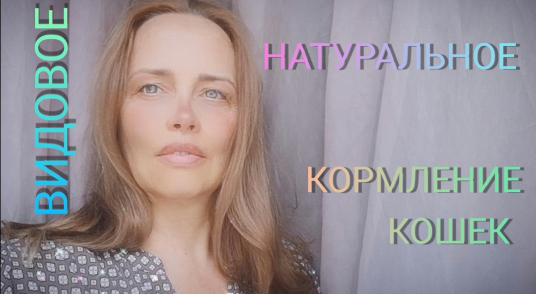 ВИДОВОЕ НАТУРАЛЬНОЕ  ПИТАНИЕ КОШЕК. Образовательная рубрика