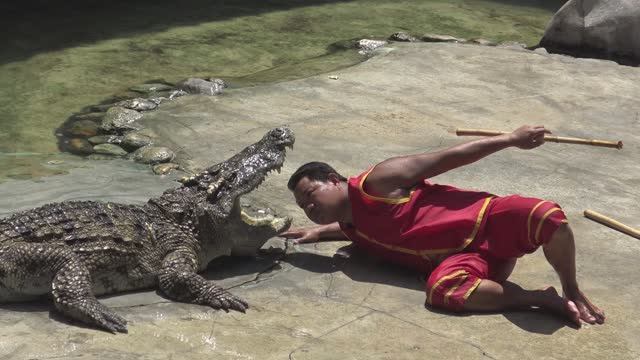 3 Бангкок - Крокодиловая ферма.mp4