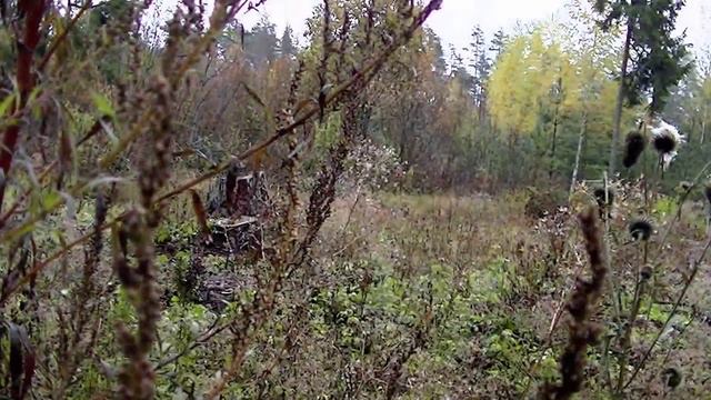 Унылая пора- Очей очарованье-