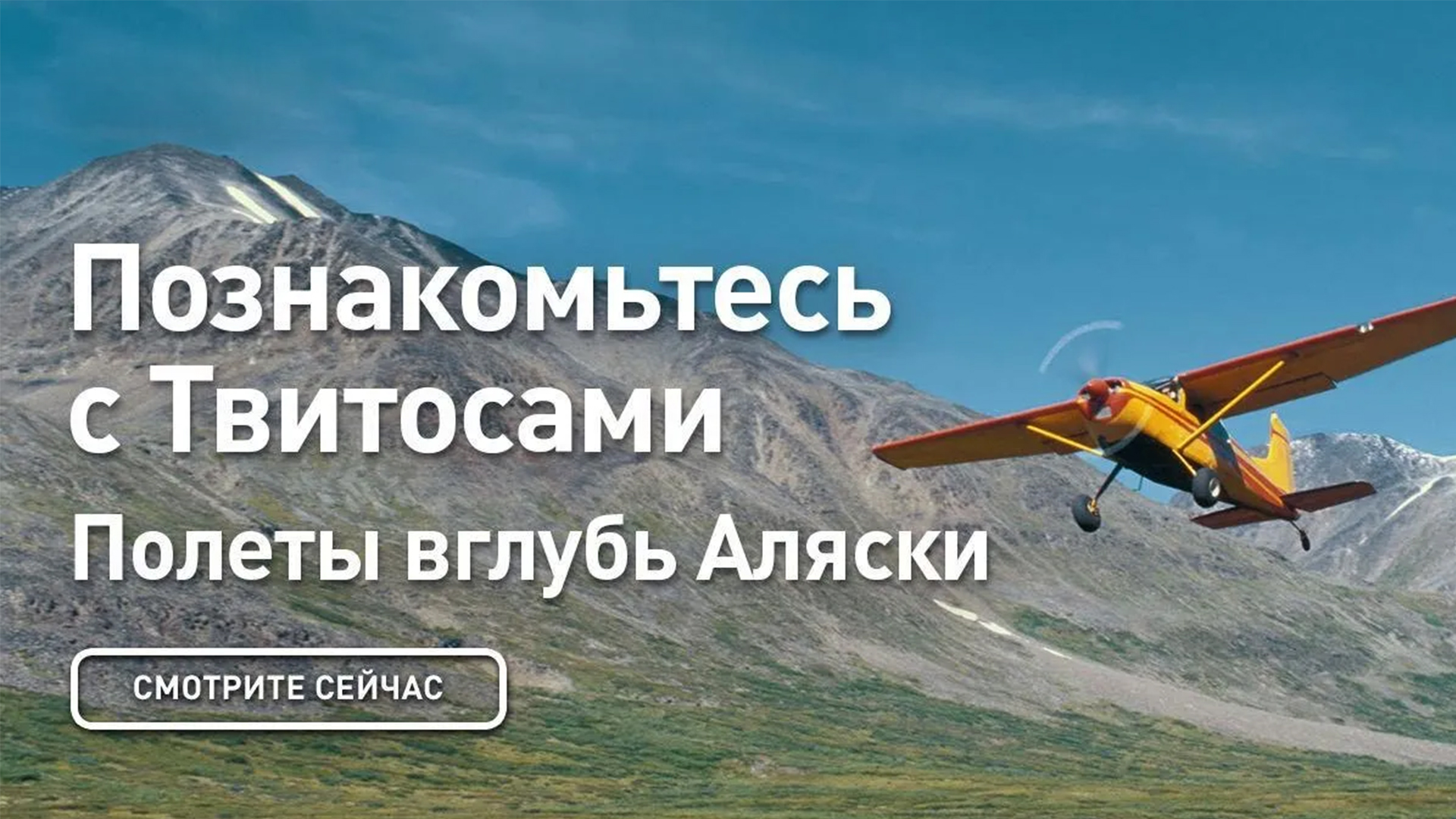 Познакомьтесь с Твитосами | Полеты вглубь Аляски - ТОПЛЕС