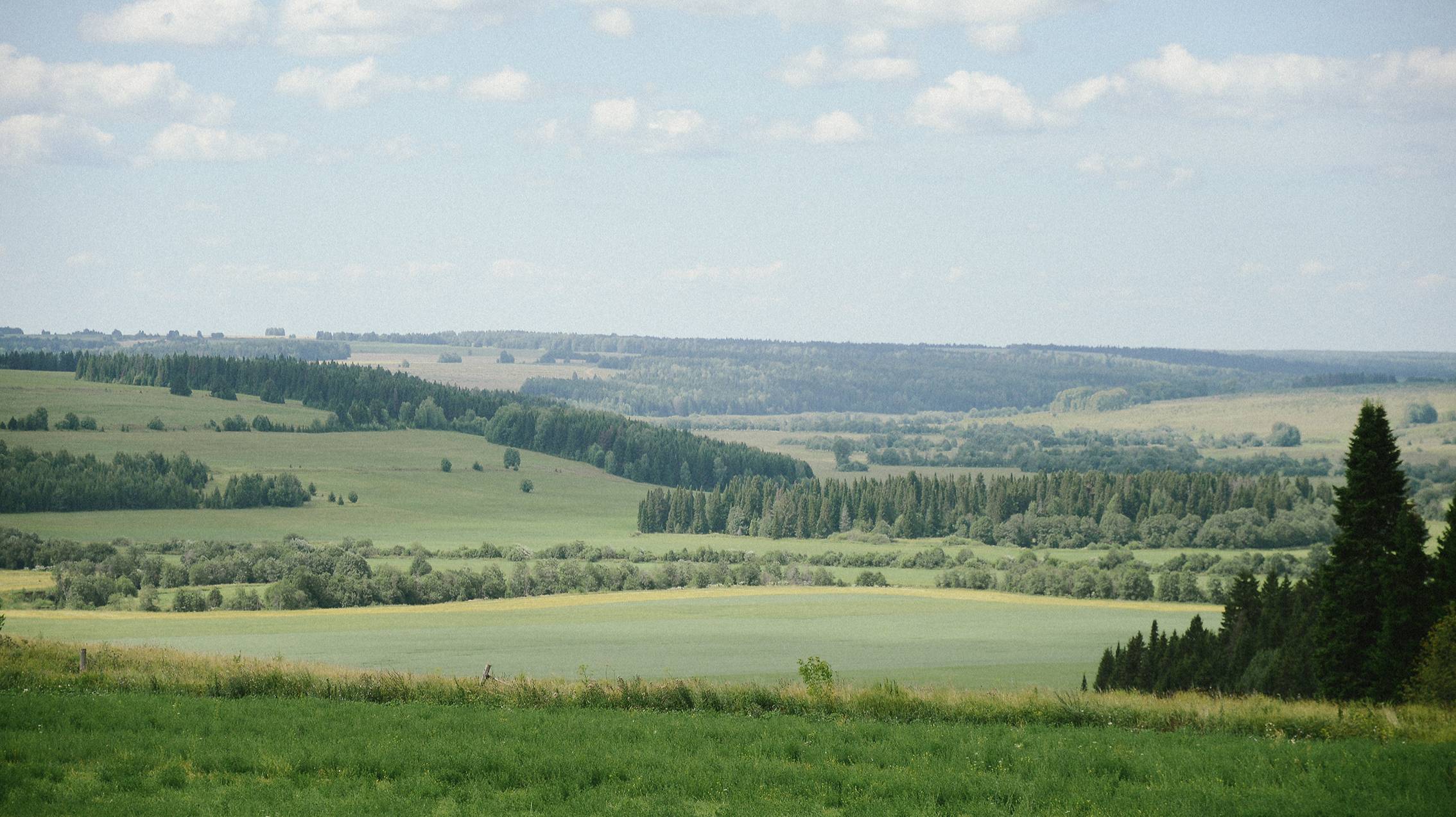 Заброшенные храмы и Васнецовские места Кировской области