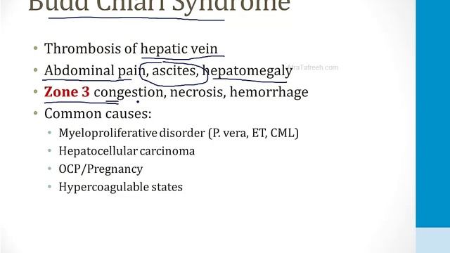 Гастроэнтерология USMLE - 3. Клиническая Гастроэнтерология - 2.Заболевания печени