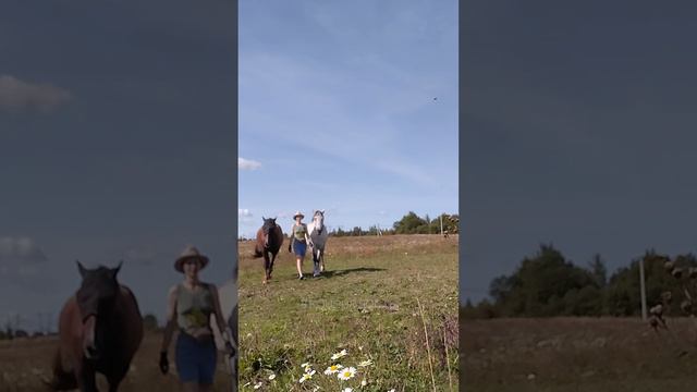 последние тёплые деньки