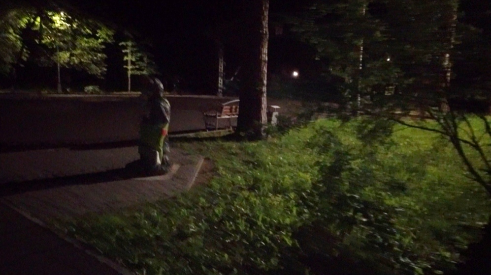 Ночью в парке не гуляй! Ночью в парке страшно!?