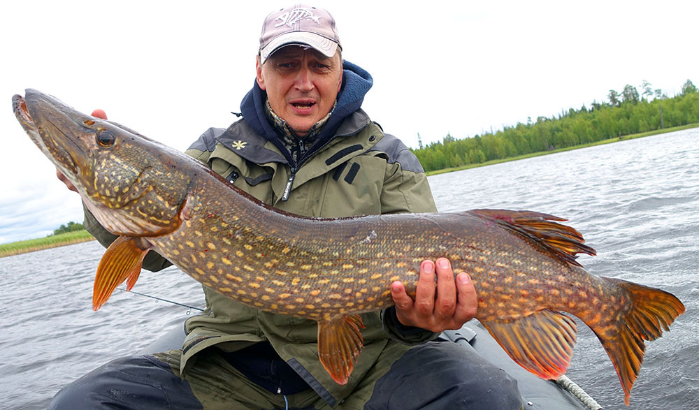 Озеро Н. Крупная щука на джиг