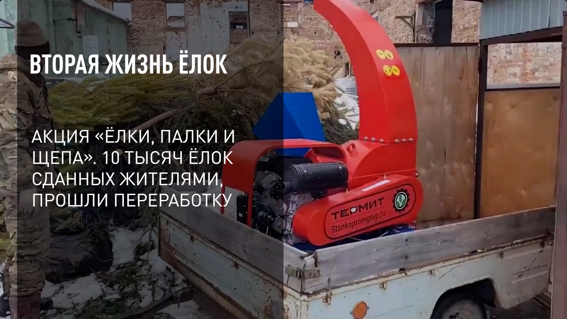 Вторая жизнь ёлок