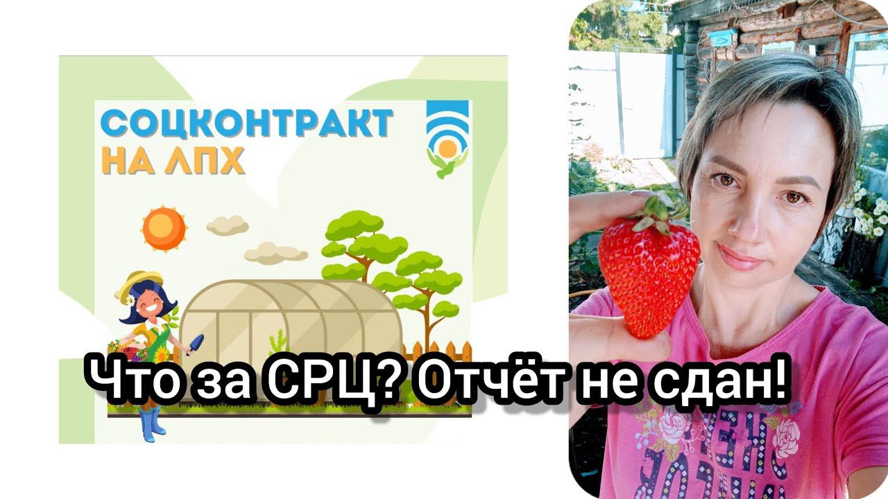 Соцконтракт на ЛПХ Иркутская область.Выпуск 10. 29.06.2023 г.Что за СРЦ?Отчет не сдан!