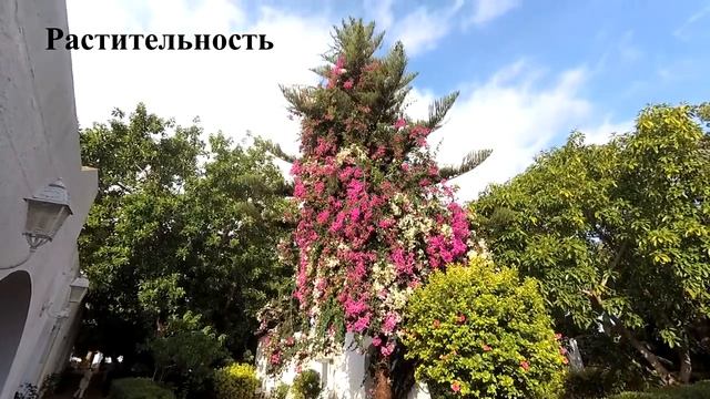 Отдых в Африке_ Тунис 2016. Часть 1