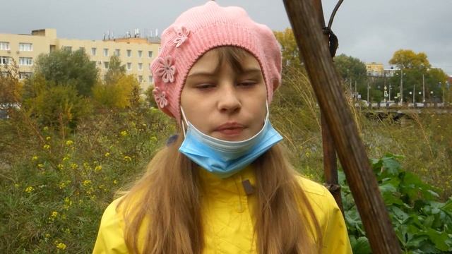 Борщевик SOSновского