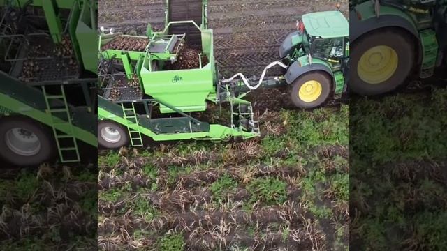 Современный комбайн для уборки картофеля, качество и производительность сбора урожая, видео.mp4