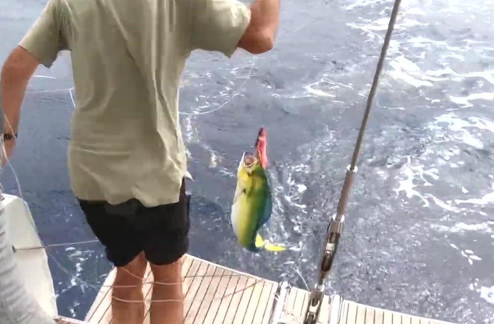 fishing from yacht, trolling. www.atlas-yacht.ru