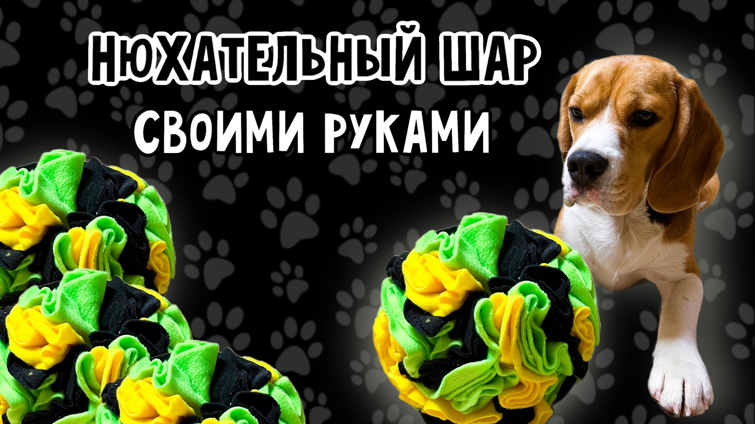 Делаем нюхательный шар для собак своими руками