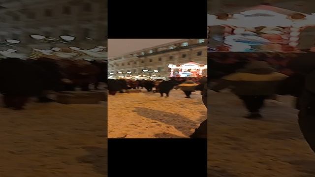 Новый год 2022 Питер , СПБ , 1 день )) )