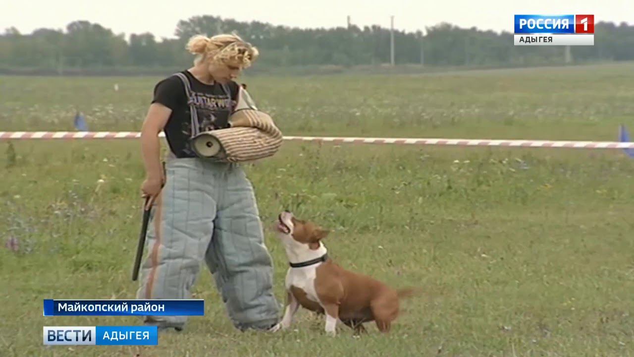 Показательные выступления на юбилее Майкопского авиа клуба