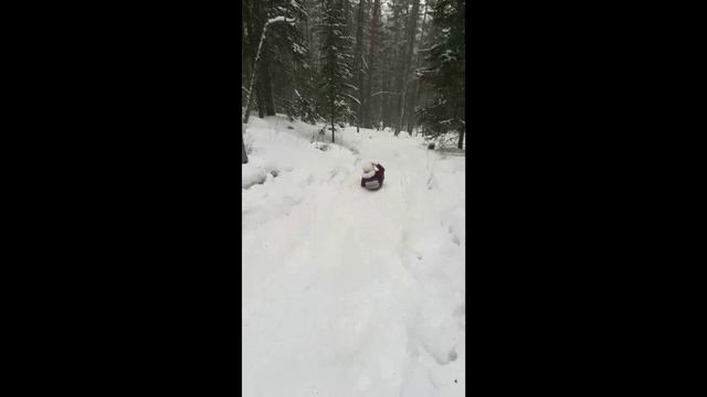 Зимние забавы в селе Шушь