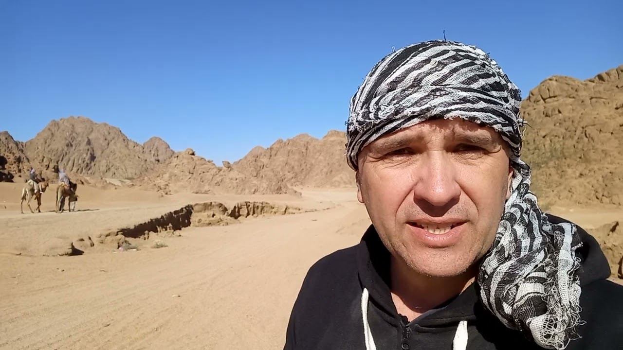 Ежедневная манна в пустыне