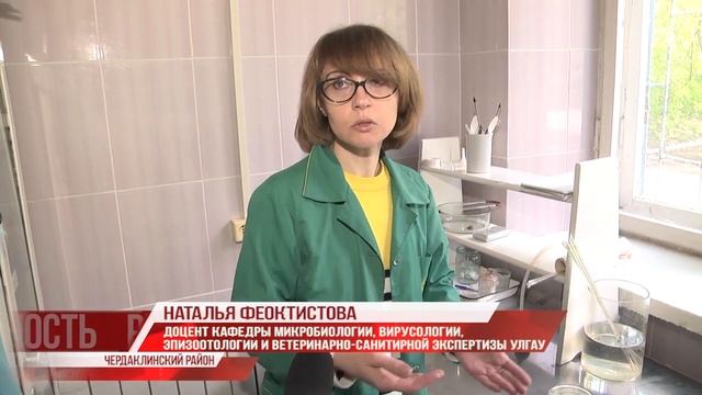 Сокровища под ногами. В ульяновском аграрном вузе изучают минералы для натуральных кормовых добавок