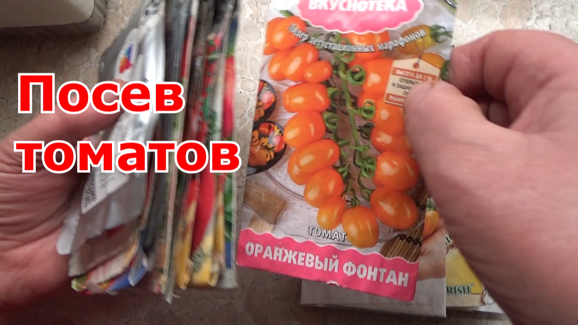 Посев томатов без заморочек с дальнейшей пикировкой. Сорта и гибриды томатов на текущий сезон.