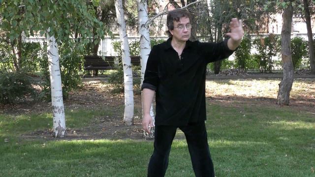 06 Таолу стиля Орлан и барс блокирование руками полное