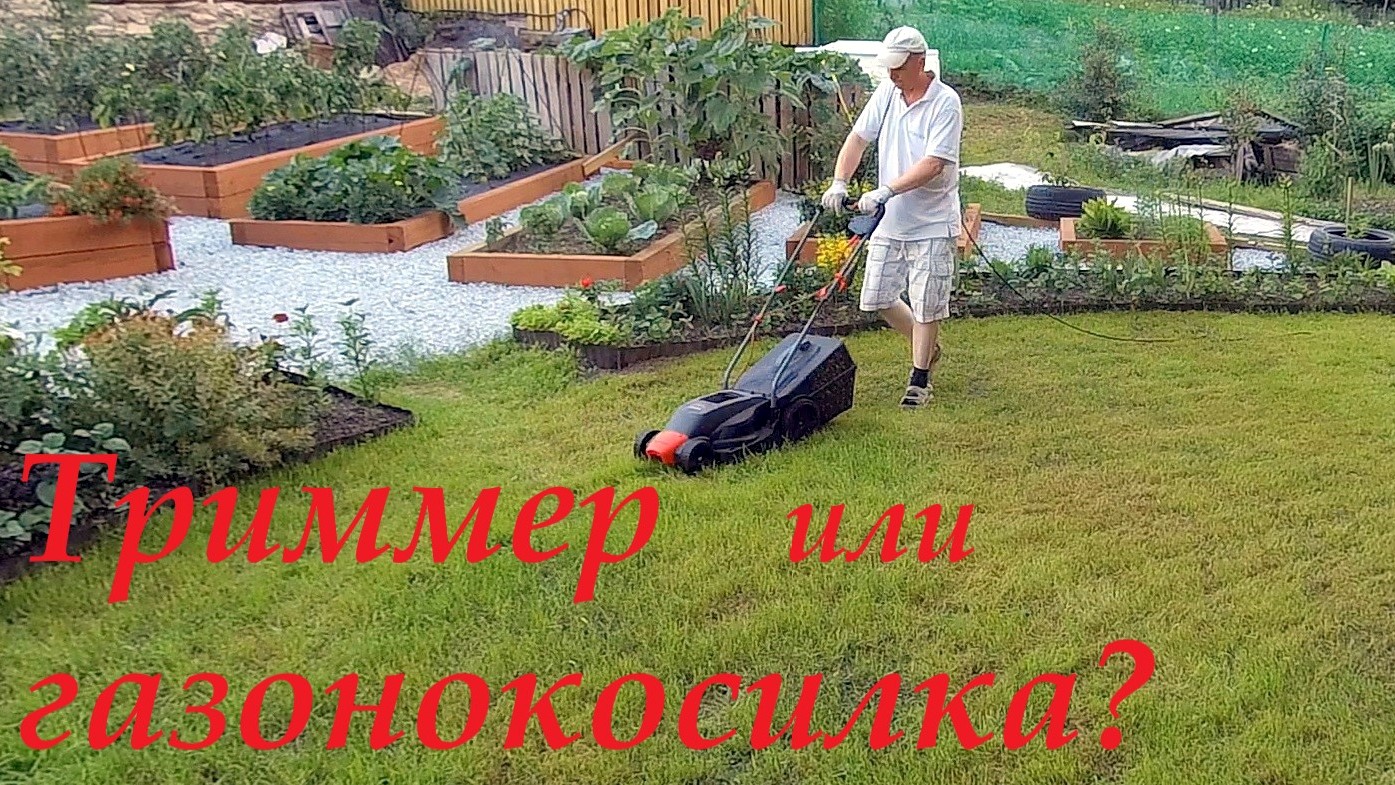 Триммер или газонокосилка? ГАЗОН чем подстригать?  Про газон, огород, теплицу, помидоры, компост.