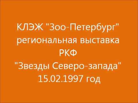 КЛЭЖ "Зоо-Петербург" 15.02.1997 ринг московских сторожевых