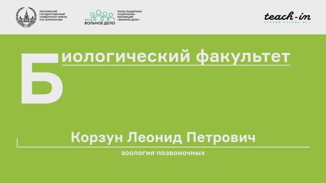 8. Систематика рыб. Зоология позвоночных - Корзун Л. П. Teach-in.