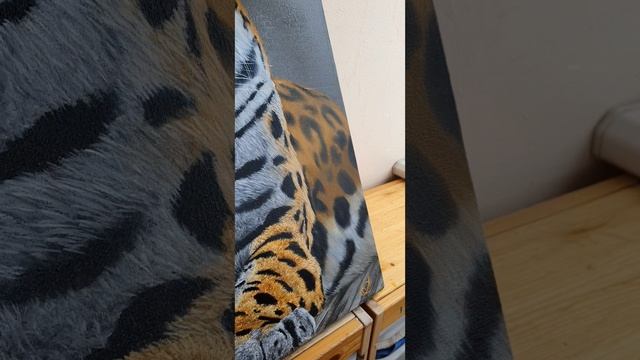 Невозмутимость