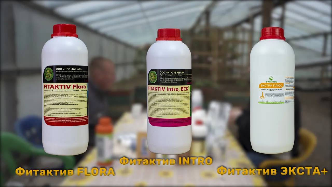 Фитактив Флора, интро, экстра+ для выращивания самой большой тыквы🎃