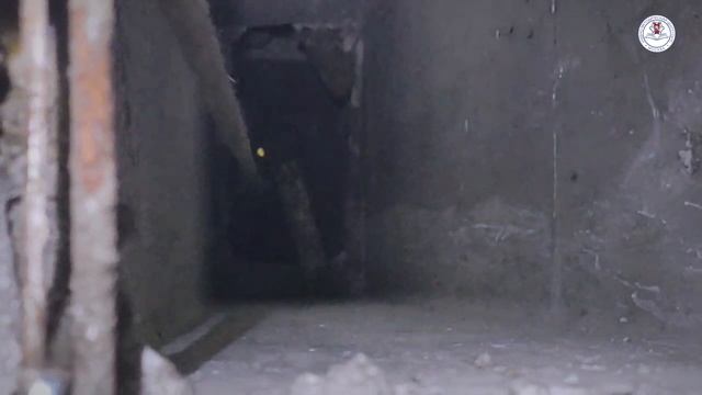 Будни добровольцев? Выудили Кота.