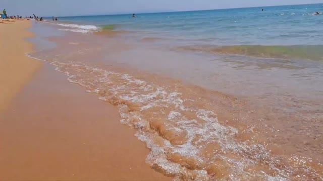 Дельфины на пляже Благовещенской(Анапа). 34 августа. Солнце, ветер,чистейшее море,шикарное лето!