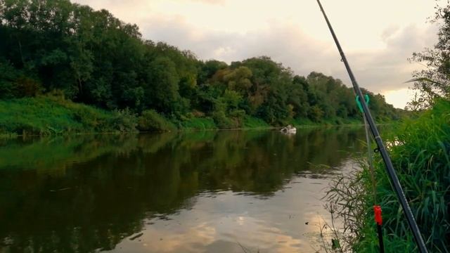 ГДЕ СИДИТ САЗАН_рыбалка в Смоленской области. Путешествие по диким местам на Днепре..mp4