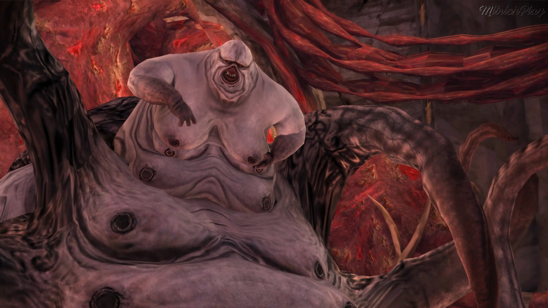 По следу Совершенной ► Dragon Age Origins #11