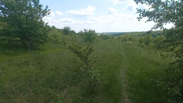 Атмосферное видео.