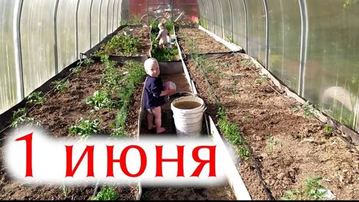 РЕПОРТАЖ ОТ 1 ИЮНЯ 2020