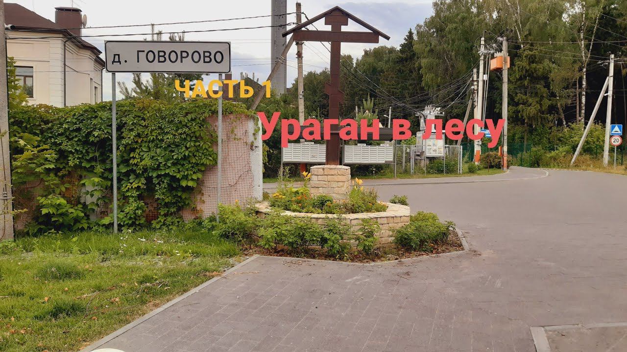 Ураган в Говоровском лесу, как мы спаслись от урагана. Выживание.
