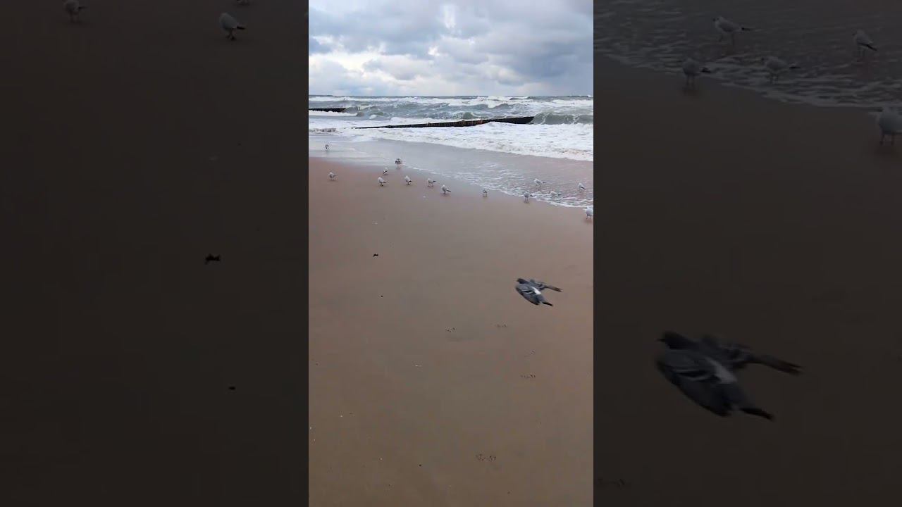 БАЛТИЙСКОЕ МОРЕ В ДЕКАБРЕ 11