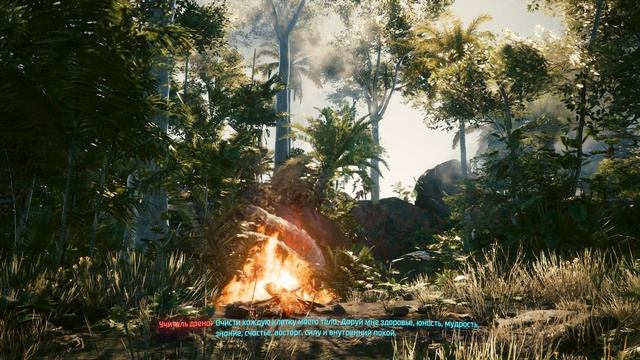 Cyberpunk 2077 - Встреча со стихиями (Огонь)