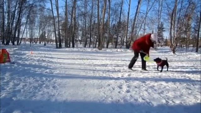 Фризби Фристайл 2016  Наталья и Дива.mp4