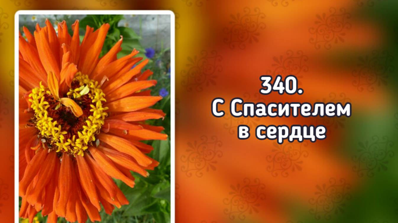 Гимны надежды 340 С Спасителем в сердце (-)